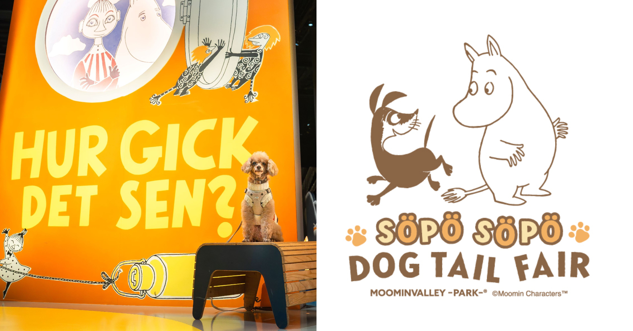 愛犬と一緒におでかけしよう！『SÖPÖ SÖPÖ DOG TAIL FAIR 2024』 | ムーミン公式サイト